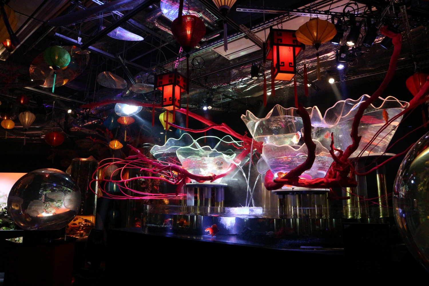 UWS AQUARIUM GA☆KYO【最新レポート|】お台場の新感覚アクアリウム レクリム